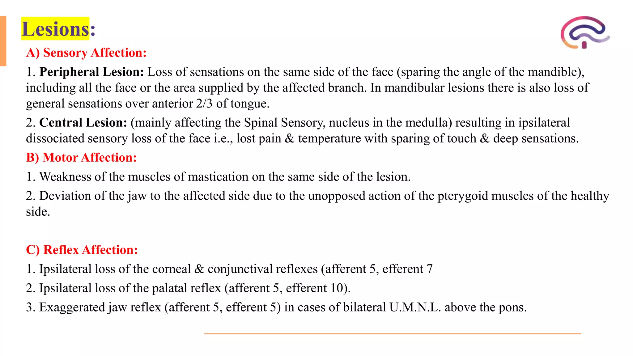 cranial nerve examination & theoritical | PPTX