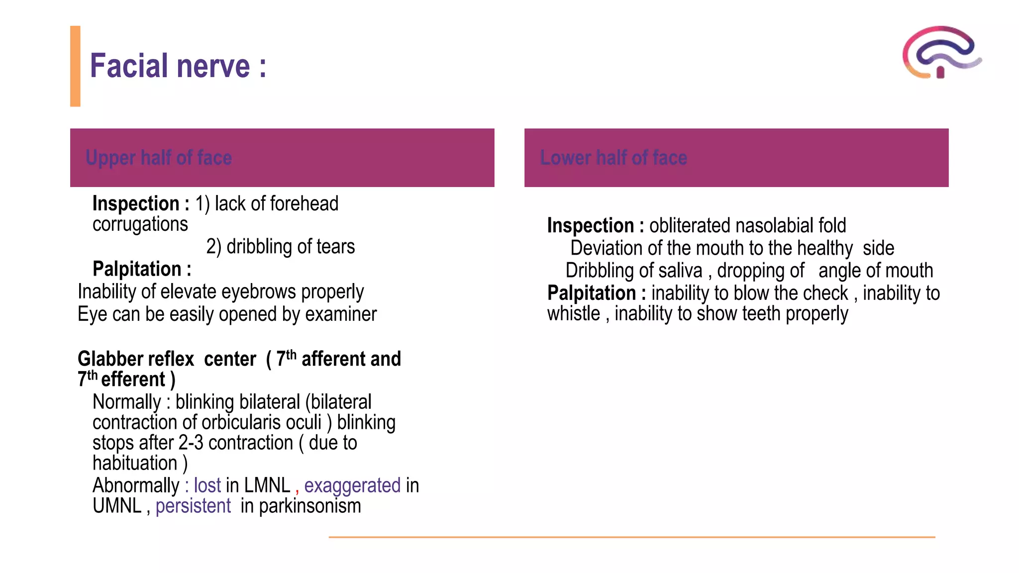 cranial nerve examination & theoritical | PPTX