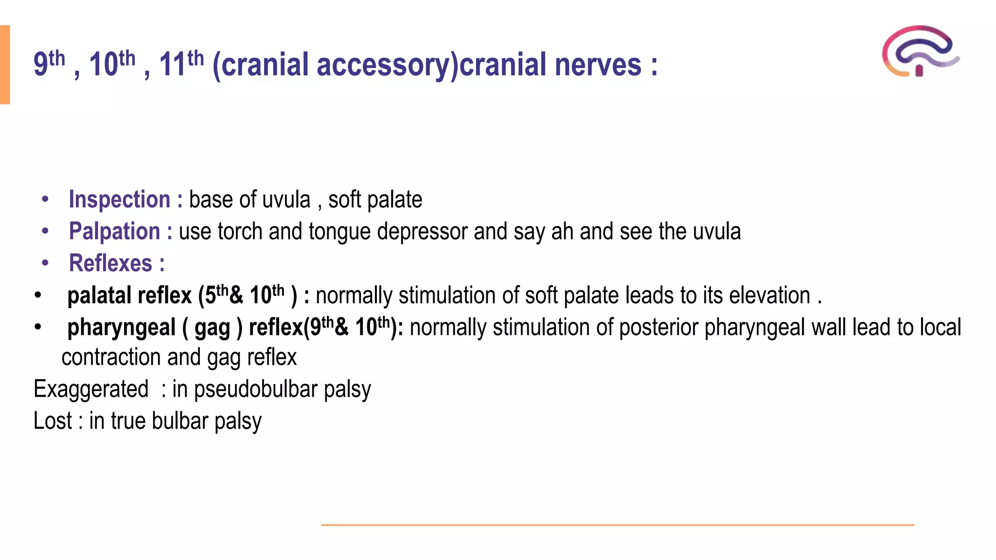 cranial nerve examination & theoritical | PPTX | Eye and Vision ...