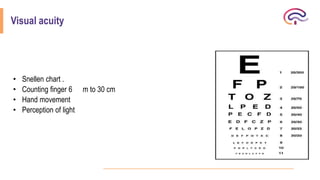 cranial nerve examination & theoritical | PPTX | Eye and Vision ...