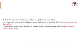 cranial nerve examination & theoritical | PPTX | Eye and Vision ...