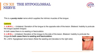 cranial nerve examination & theoritical | PPTX
