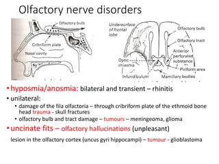 cranial nerve examination and lesions.pptx
