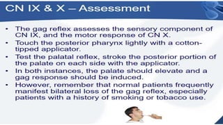 Understanding of Cranial Nerve Examinations.pptx
