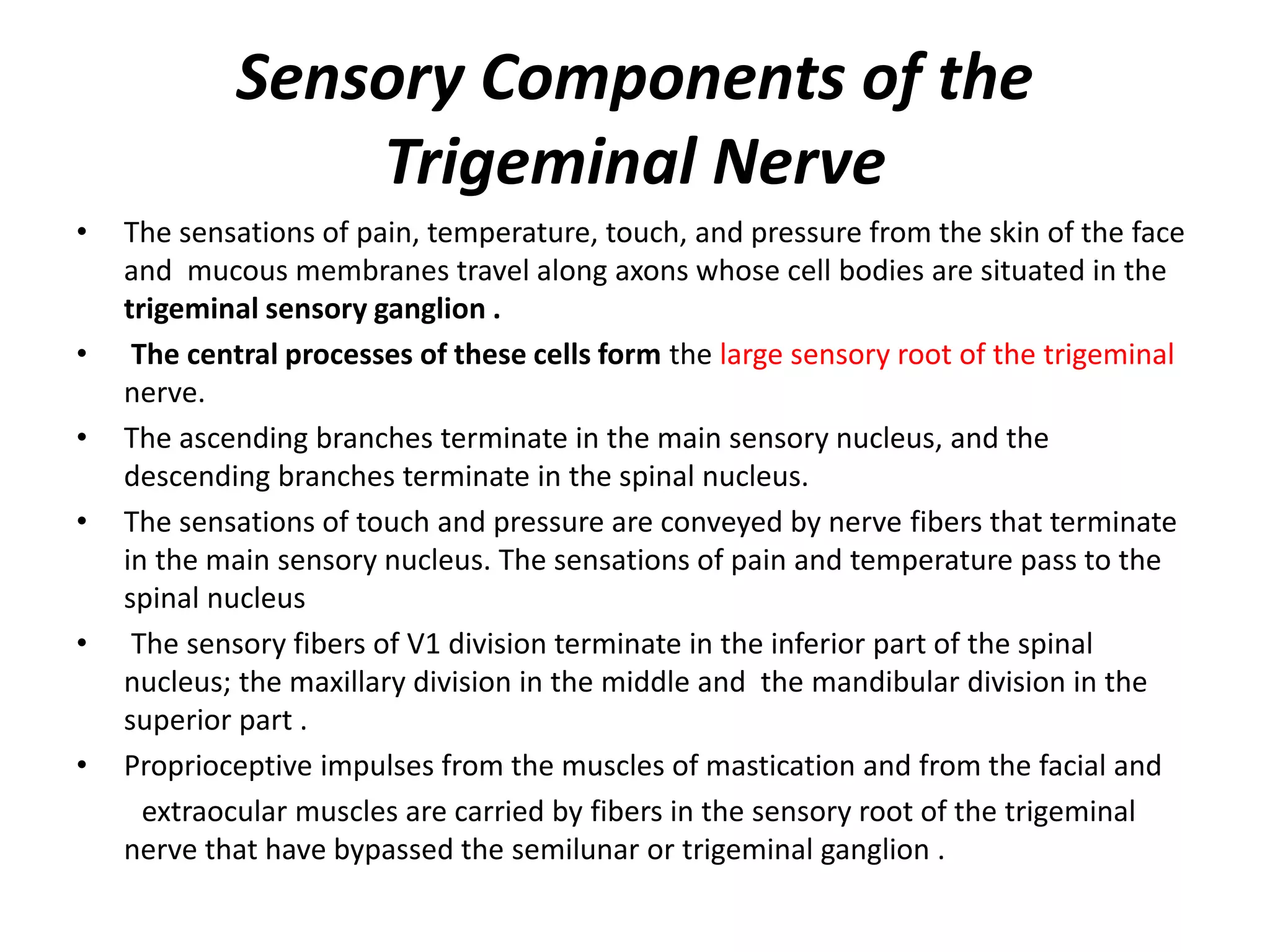 MICROSURGICAL ANATOMY OF CRANIAL NERVES | PPTX