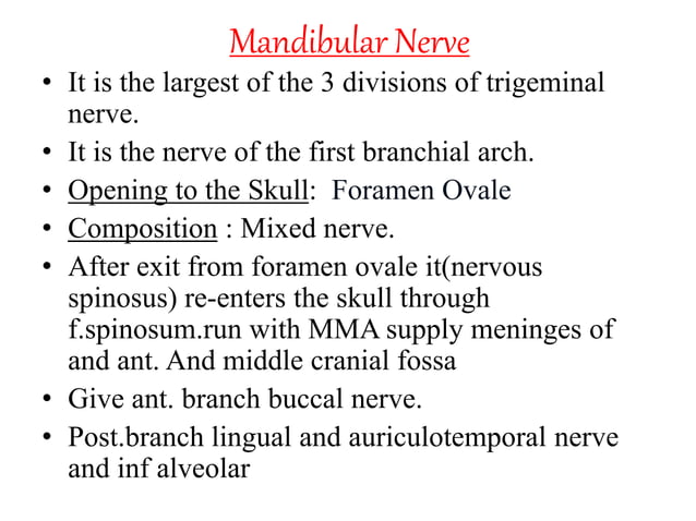 MICROSURGICAL ANATOMY OF CRANIAL NERVES | PPTX