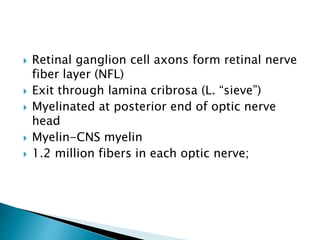 Cranial nerve i and ii | PPTX
