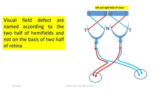 Cranial nerve I and II | PDF