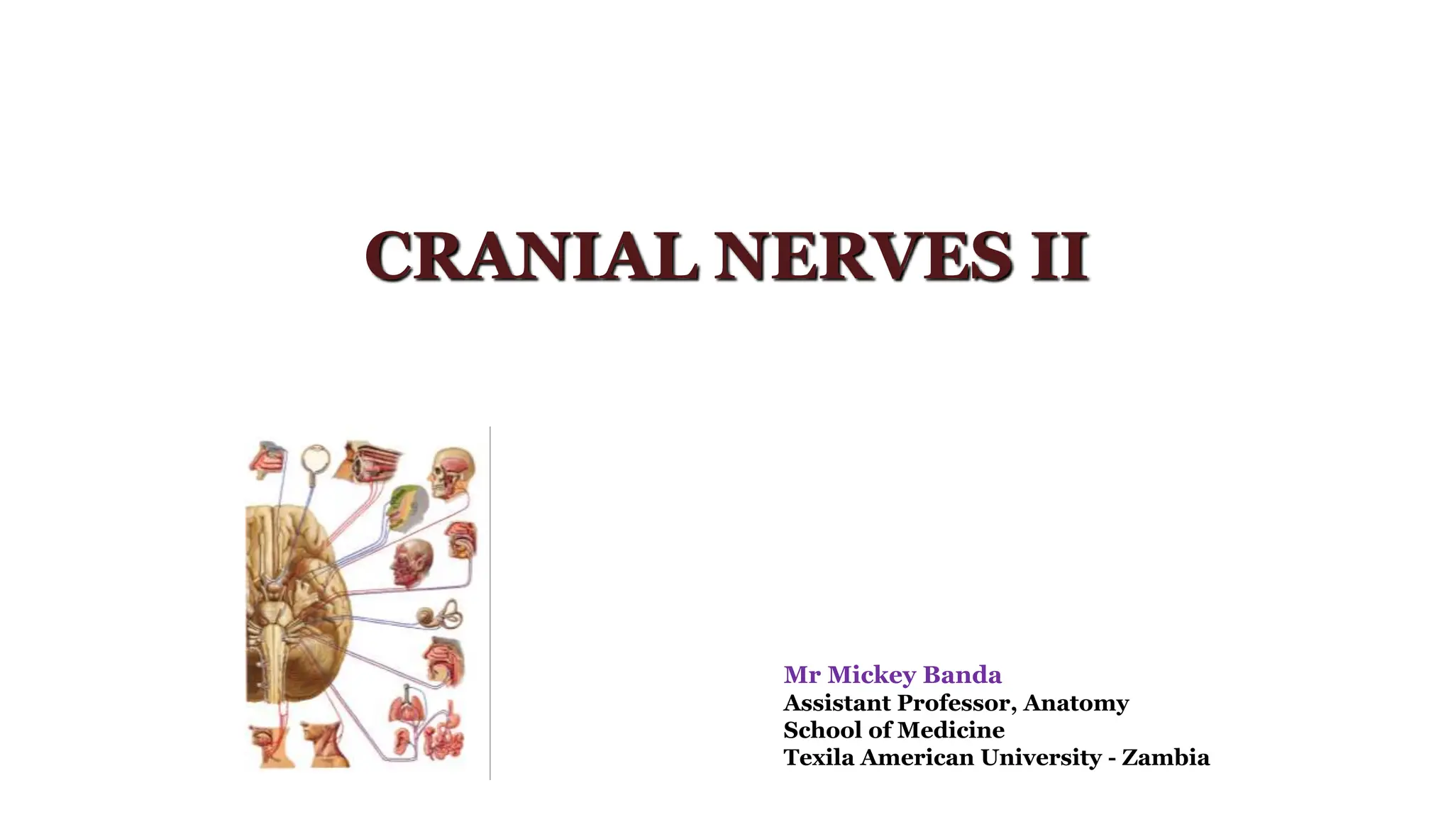 Cranial Nerve II and Visual Pathways.pptx