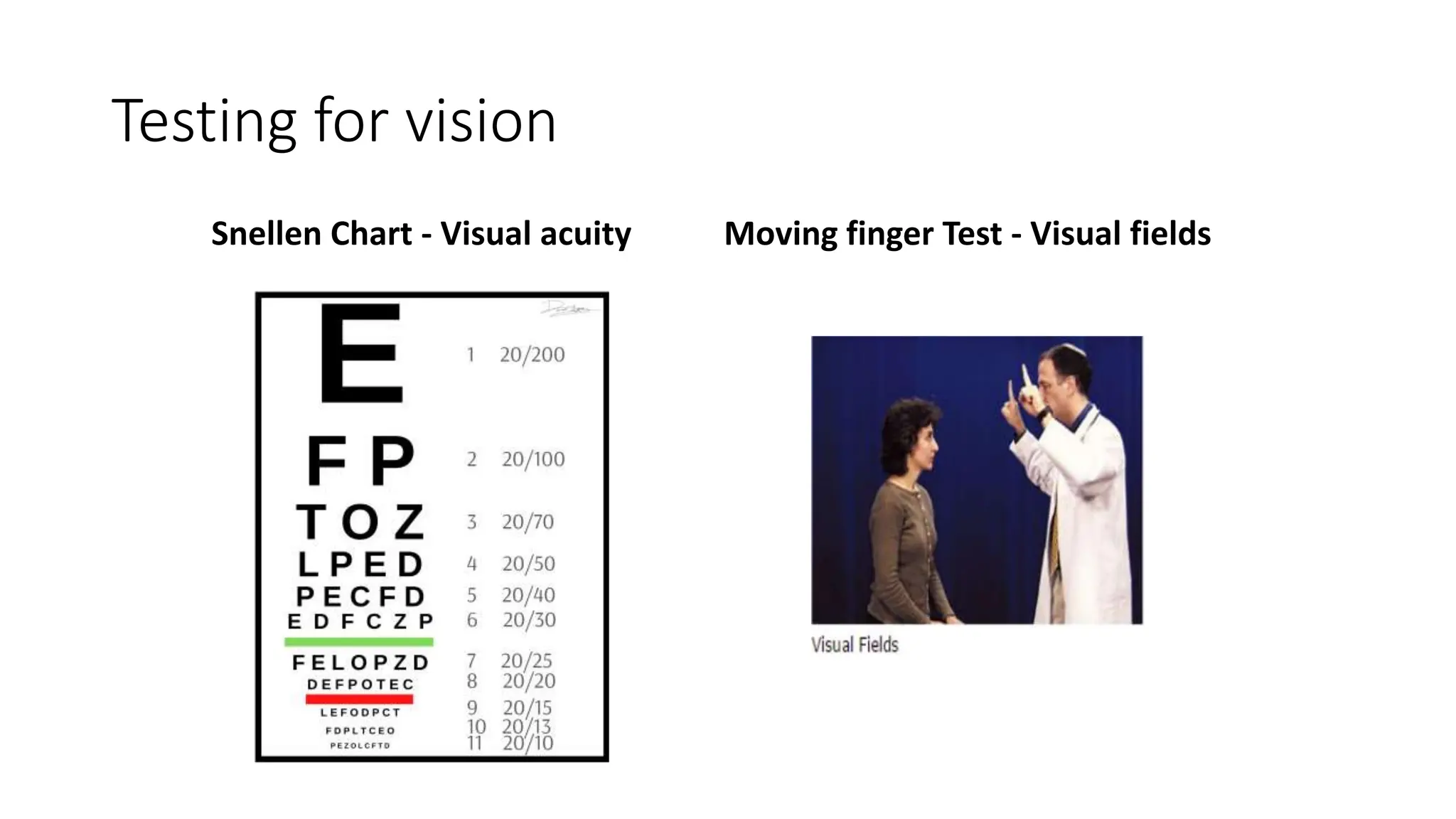 Cranial Nerve II and Visual Pathways.pptx