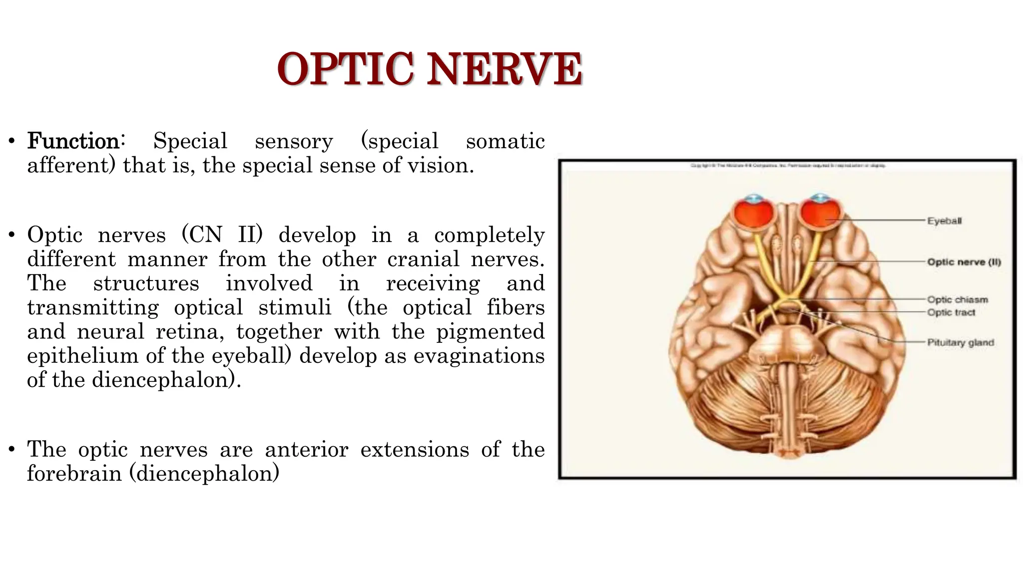 Cranial Nerve II and Visual Pathways.pptx