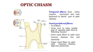 Cranial Nerve II and Visual Pathways.pptx