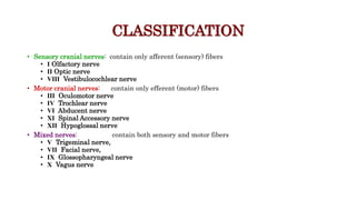 Cranial Nerve II and Visual Pathways.pptx