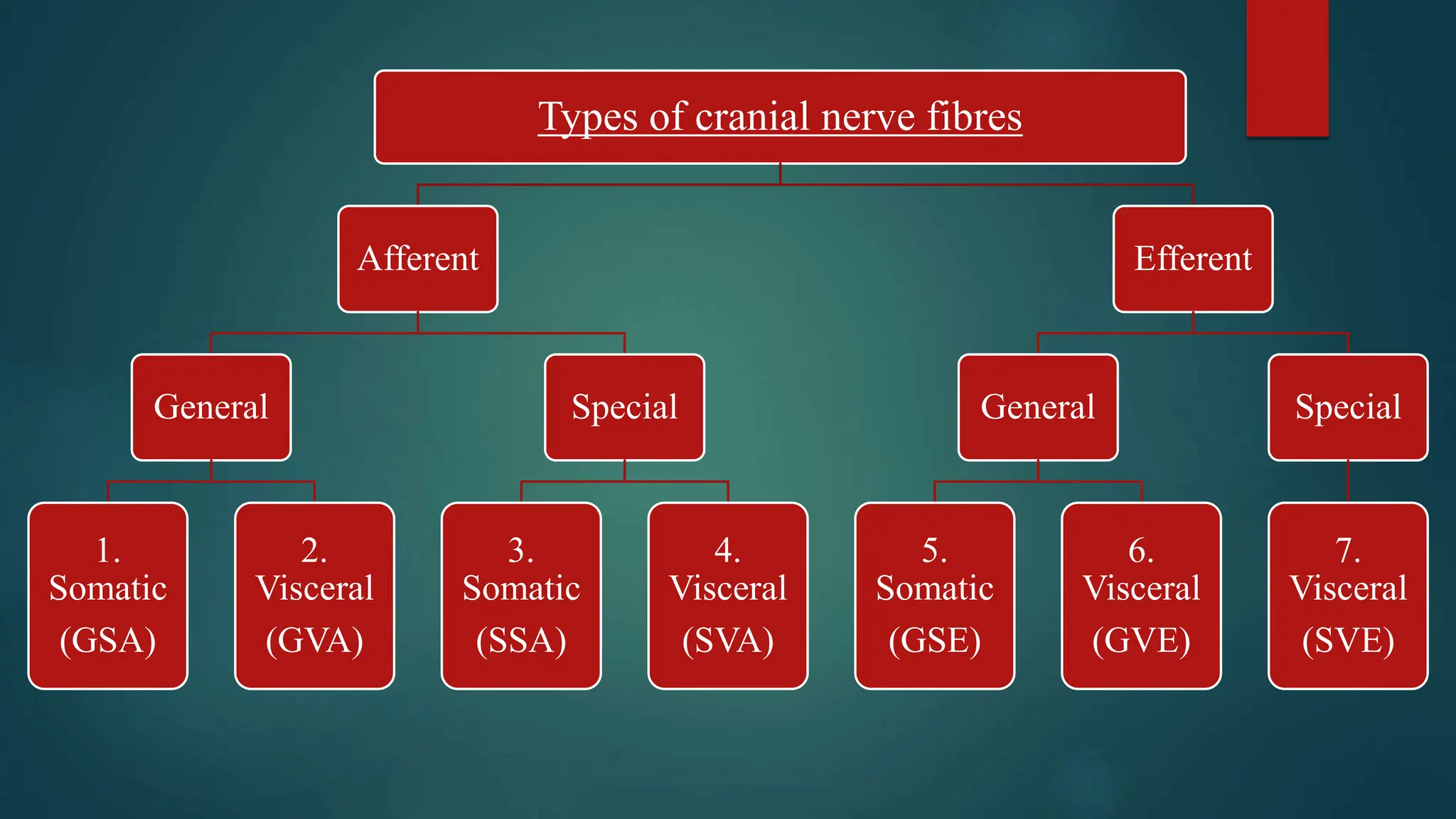 Cranial nerve I,II,III & IV pathway and injury.pptx