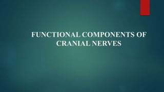 Cranial nerve I,II,III & IV pathway and injury.pptx