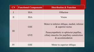 Cranial nerve I,II,III & IV pathway and injury.pptx