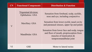 Cranial nerve I,II,III & IV pathway and injury.pptx
