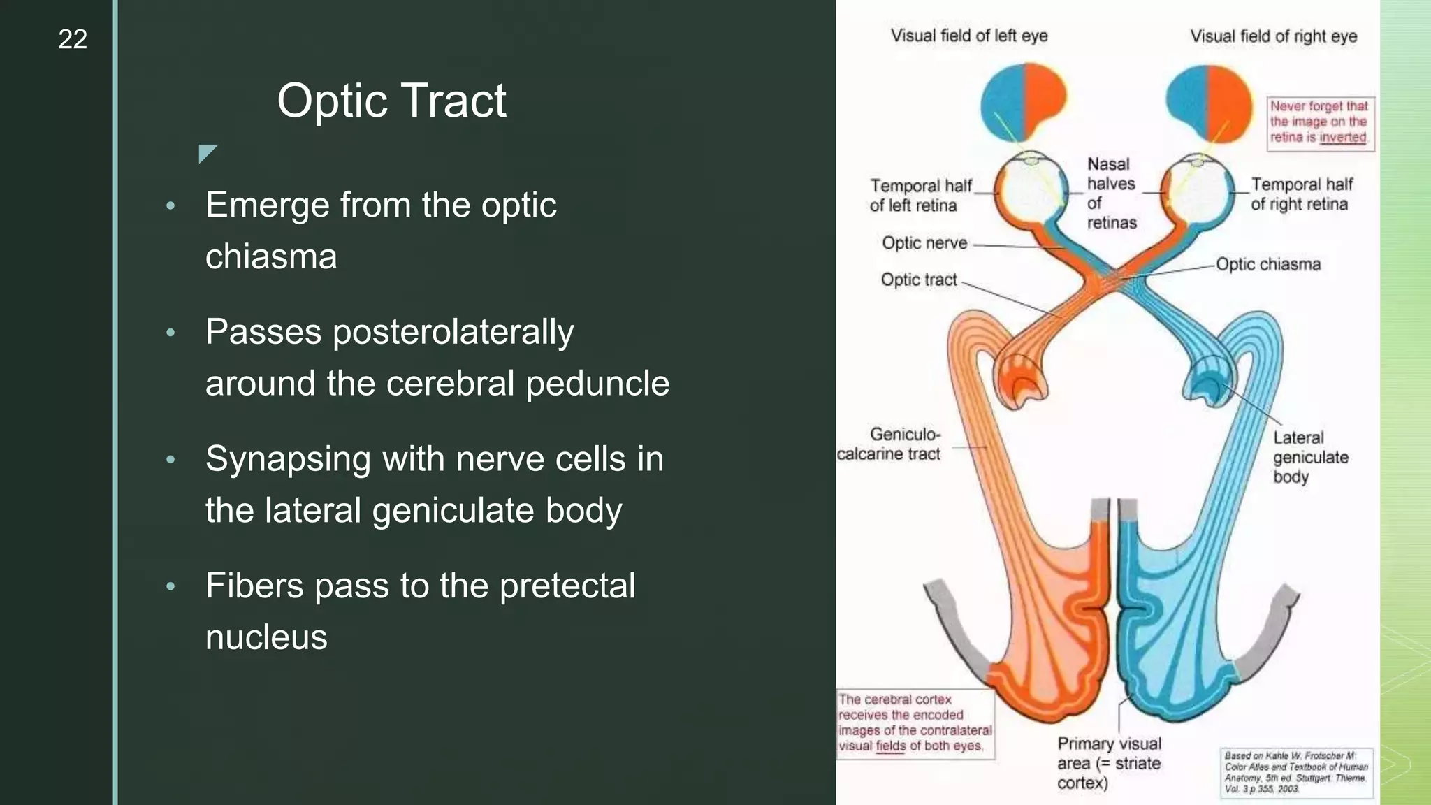 Cranial nerve i ii iii iv combined presentation | PPTX