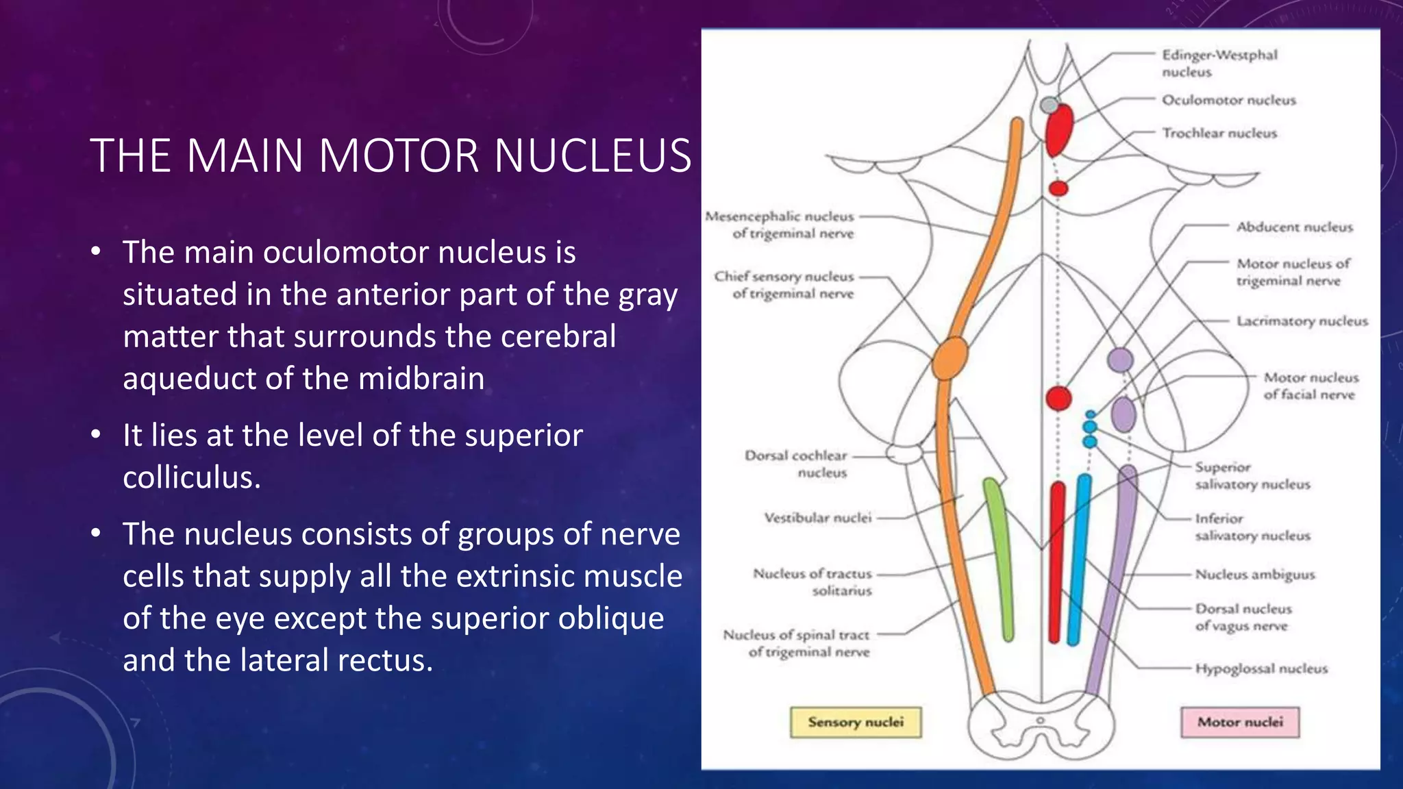 Cranial nerve i ii iii iv combined presentation | PPTX