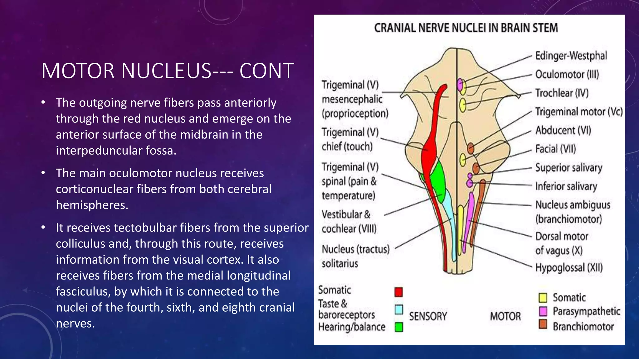 Cranial nerve i ii iii iv combined presentation | PPTX