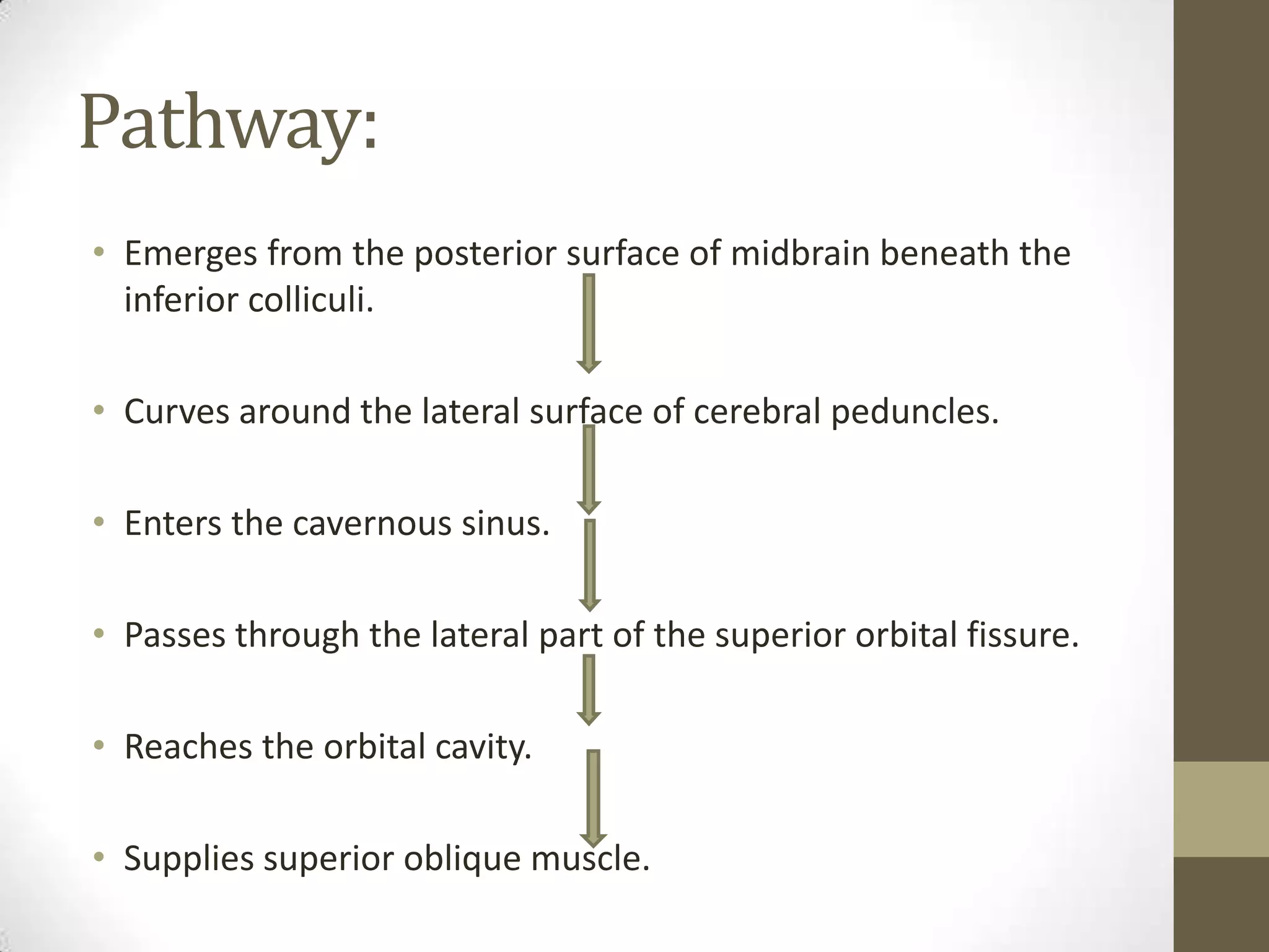 Cranial nerve iii , iv and vi | PPTX