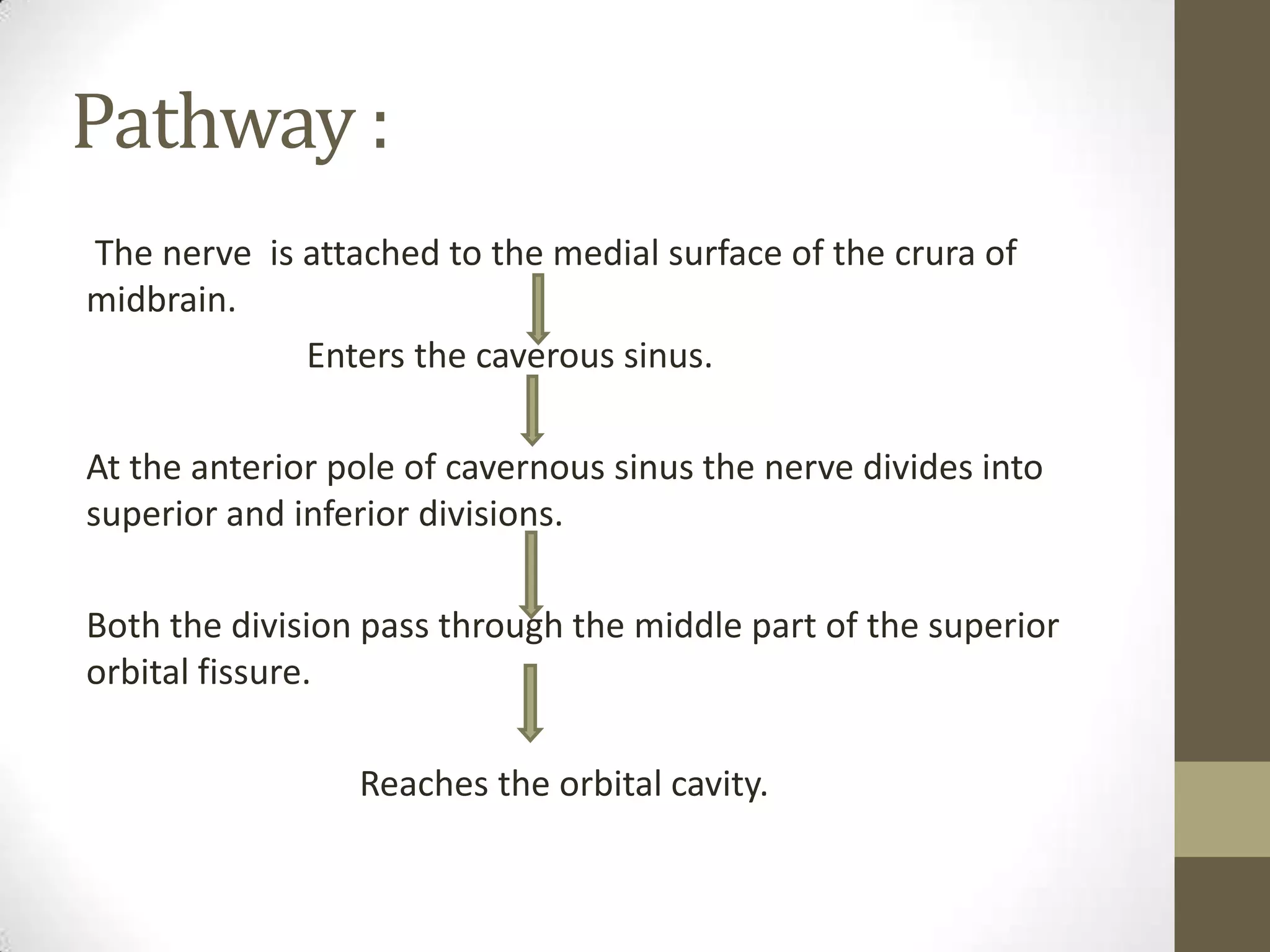 Cranial nerve iii , iv and vi | PPTX
