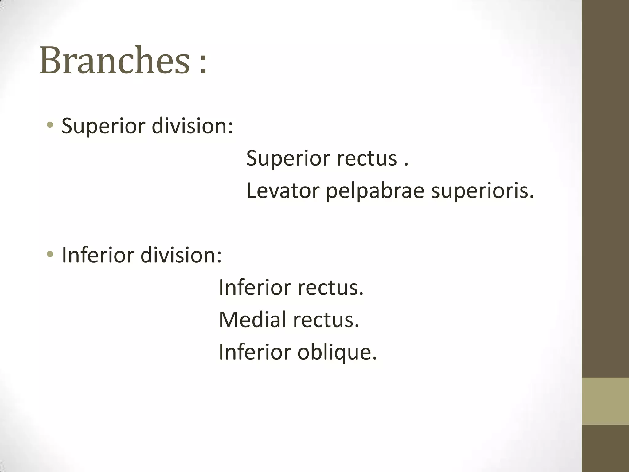 Cranial nerve iii , iv and vi | PPTX