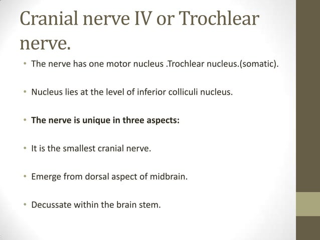 Cranial nerve iii , iv and vi | PPTX | Death, Injury, or Military ...
