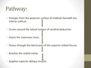 Cranial nerve iii , iv and vi | PPTX