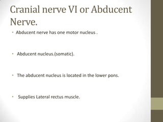 Cranial nerve iii , iv and vi | PPTX
