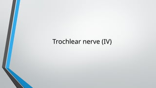 Notes of Cranial Nerve: III, IV, VI.pptx | Brain and Nervous System ...
