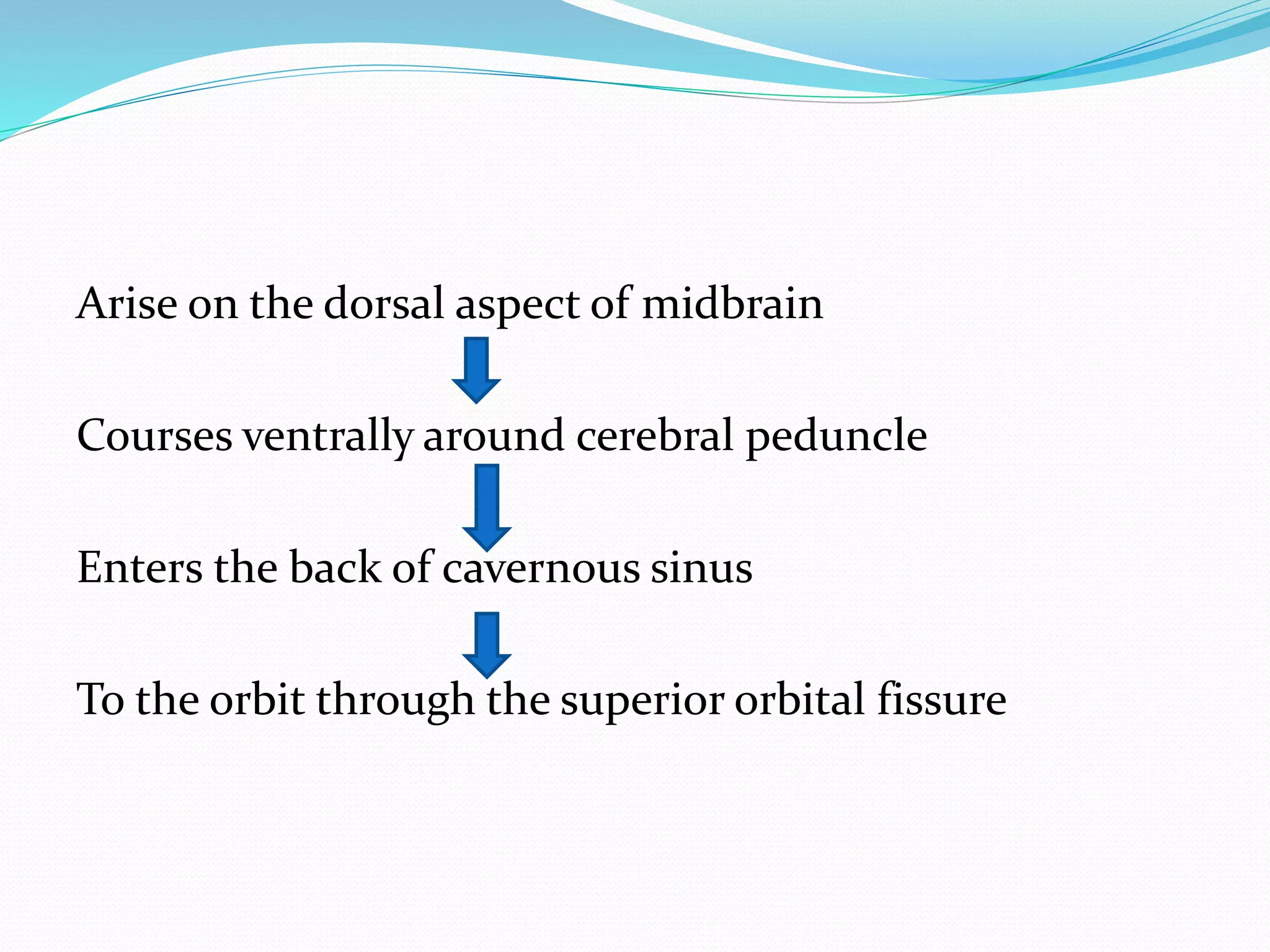 Cranial nerve iv and vi | PPTX