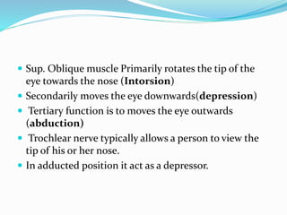 Cranial nerve iv and vi | PPTX