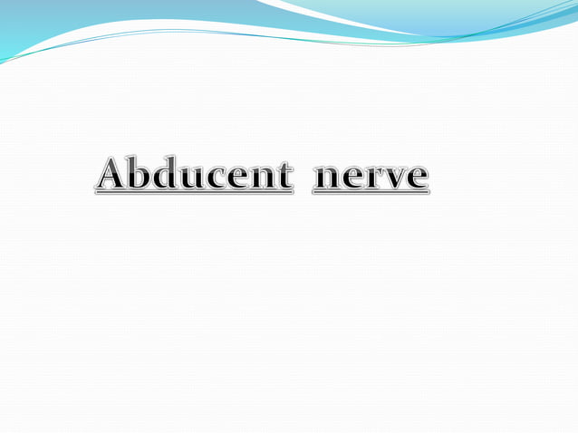 Cranial nerve iv and vi | PPT
