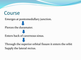 Cranial nerve iv and vi | PPTX