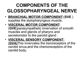 Cranial nerve ix , xii | PPT