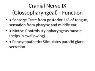 Cranial_Nerve_Lesions_Detailed_Presentation.pptx