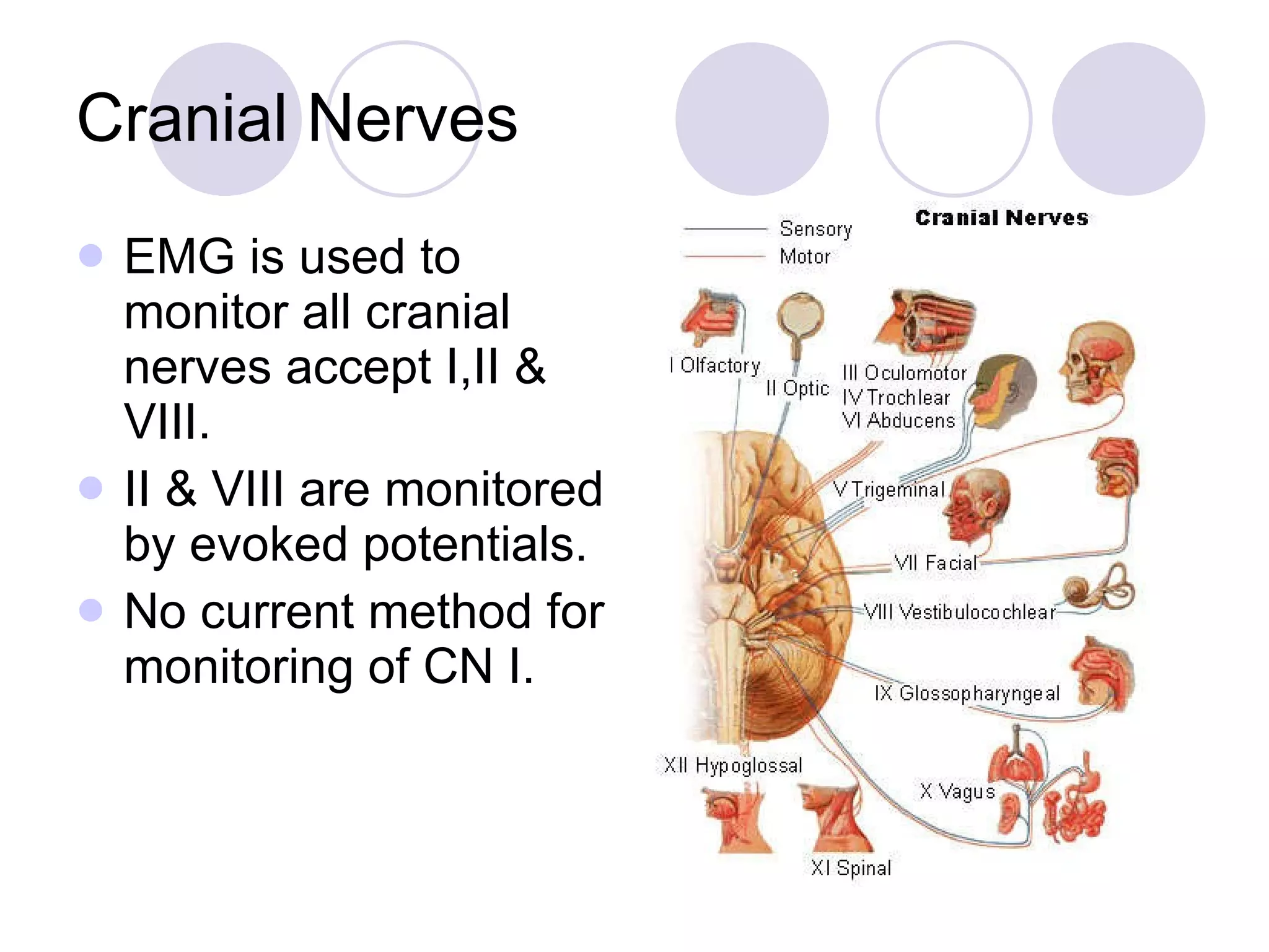 Cranial Nerve Monitoring | PPT