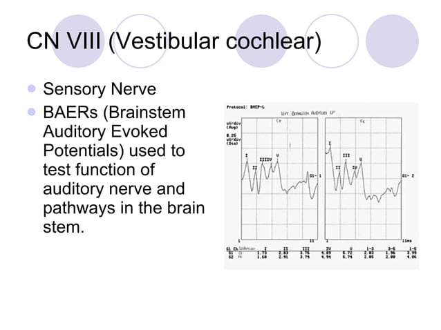 Cranial Nerve Monitoring | PPT