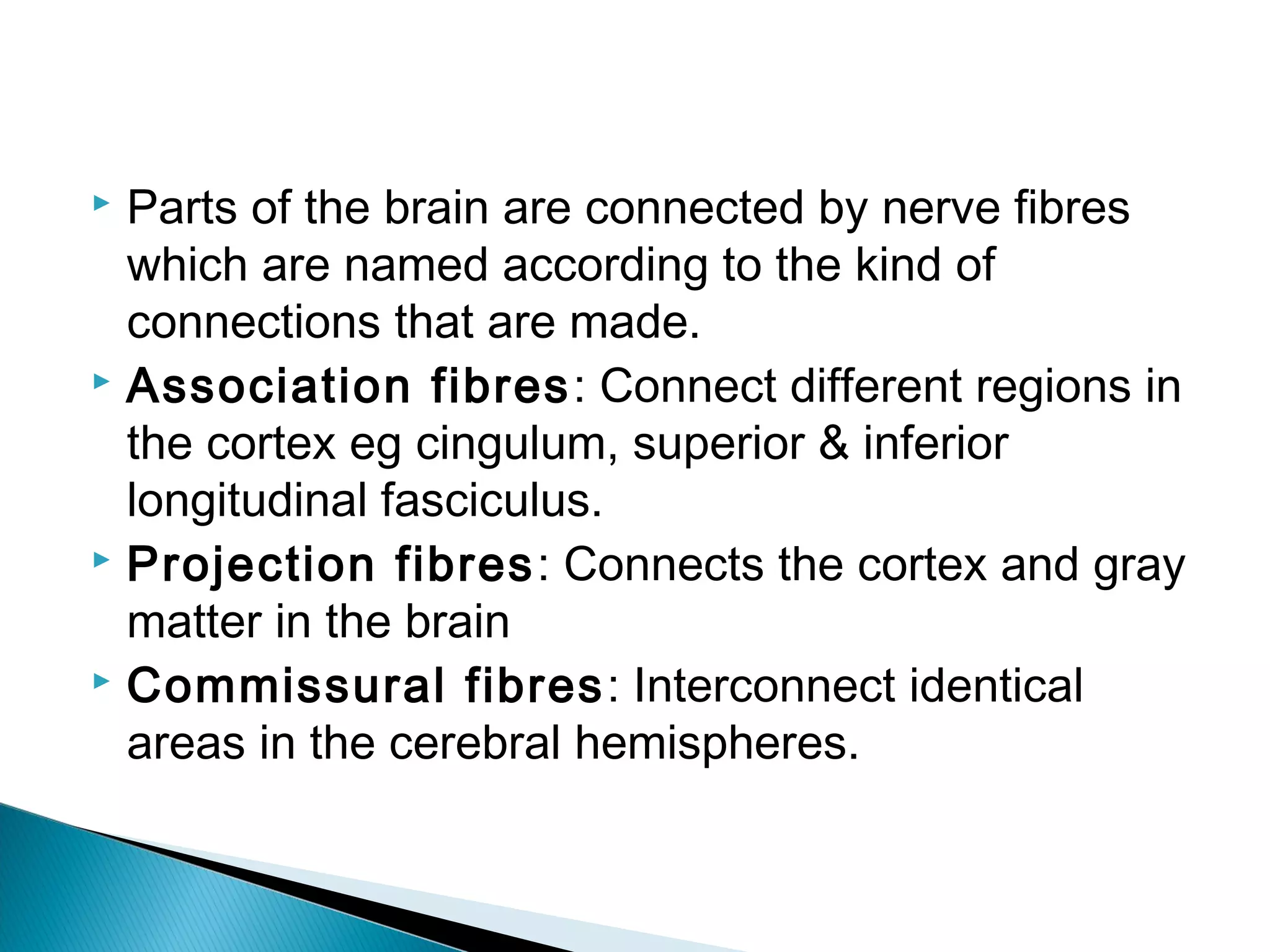 Cranial nerve nuclei | PPT