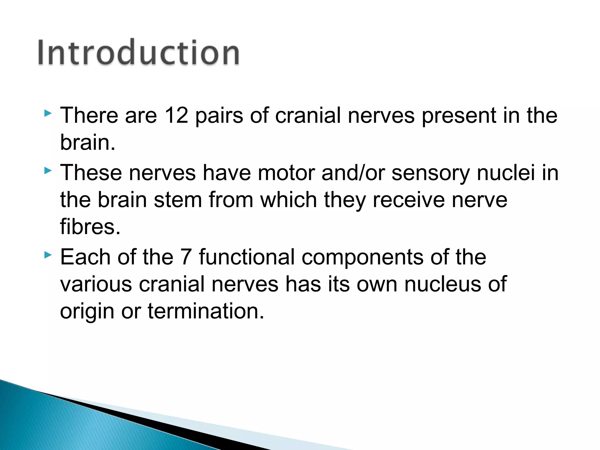 Cranial nerve nuclei | PPT