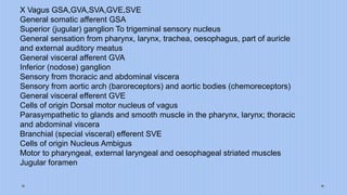 Cranial Nerve Nuclei Dr Anita R Gune | PPTX
