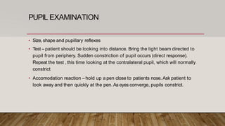 Cranial nerve practical | PPTX