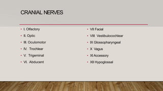 Cranial nerve practical | PPTX
