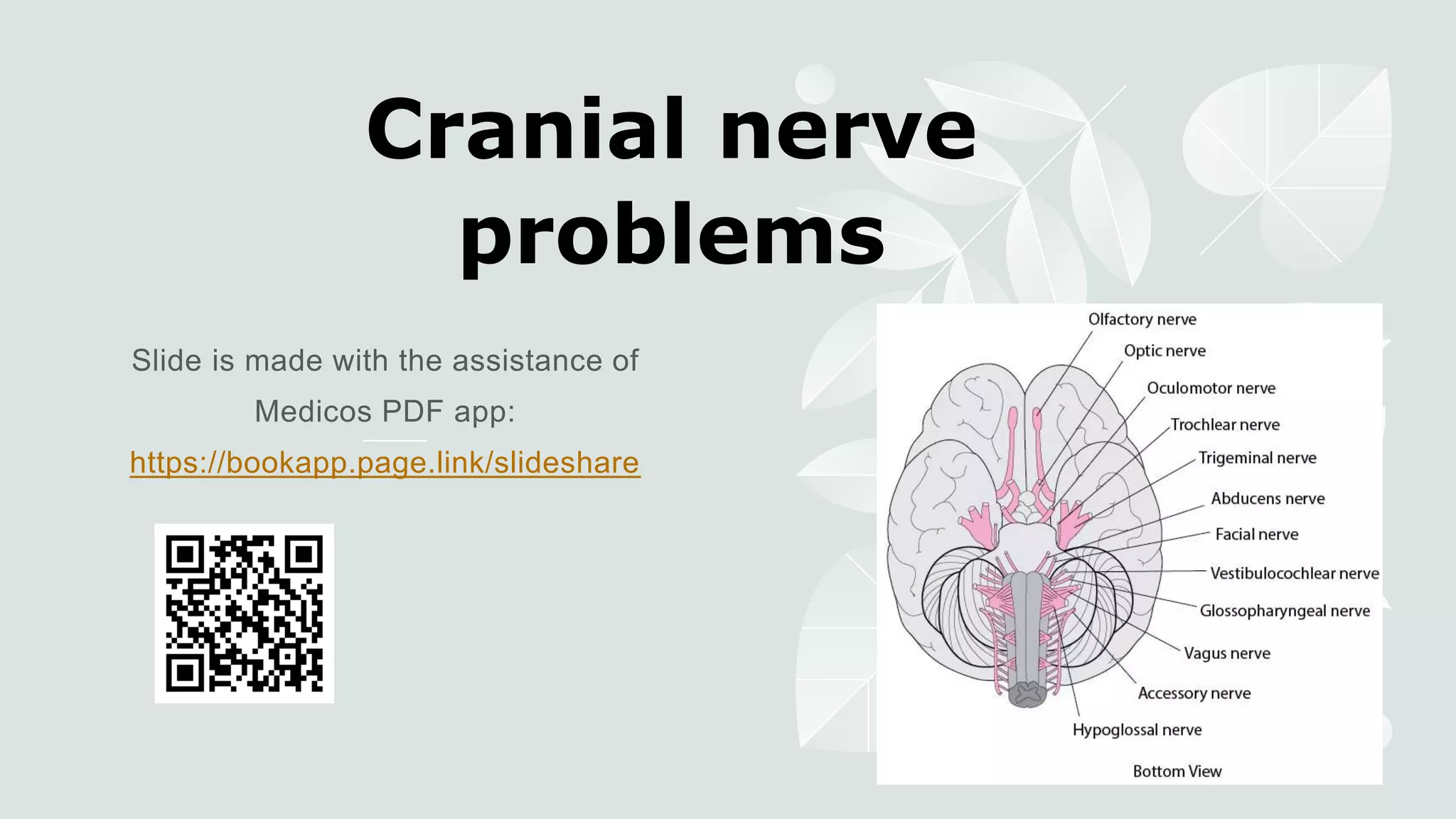 Cranial nerve problems | PPT