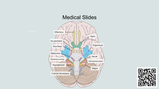 Cranial nerve problems | PPTX