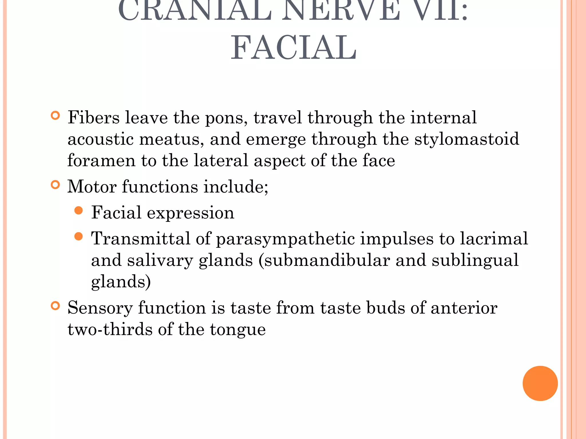 Cranial nerves | PPT
