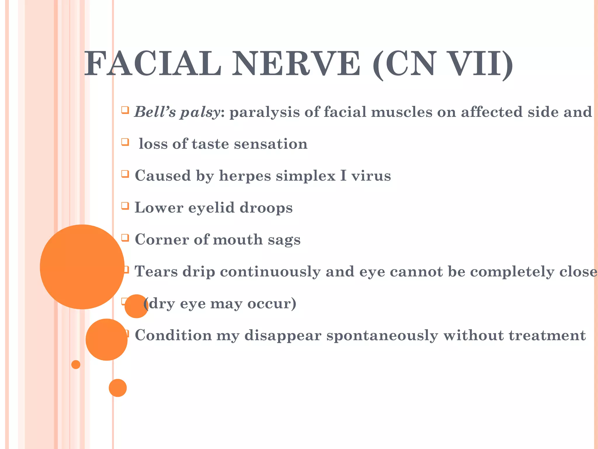 Cranial nerves | PPT