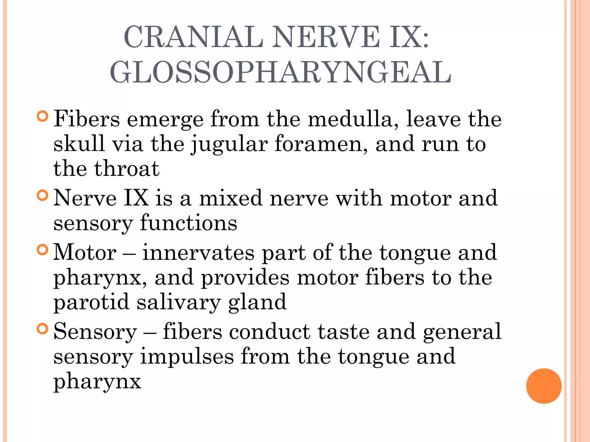Cranial nerves | PPT