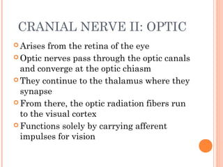Cranial nerves | PPT